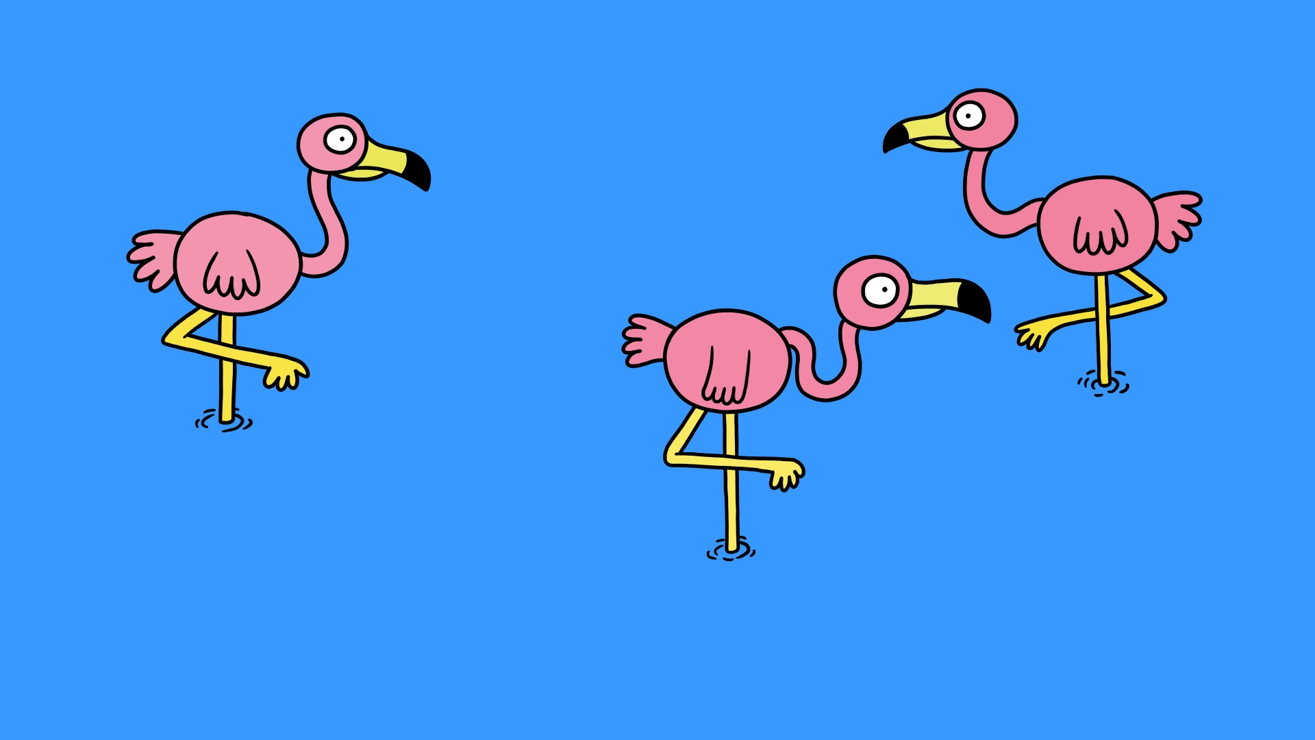 Birds Whose Legs Break Off - Animatou